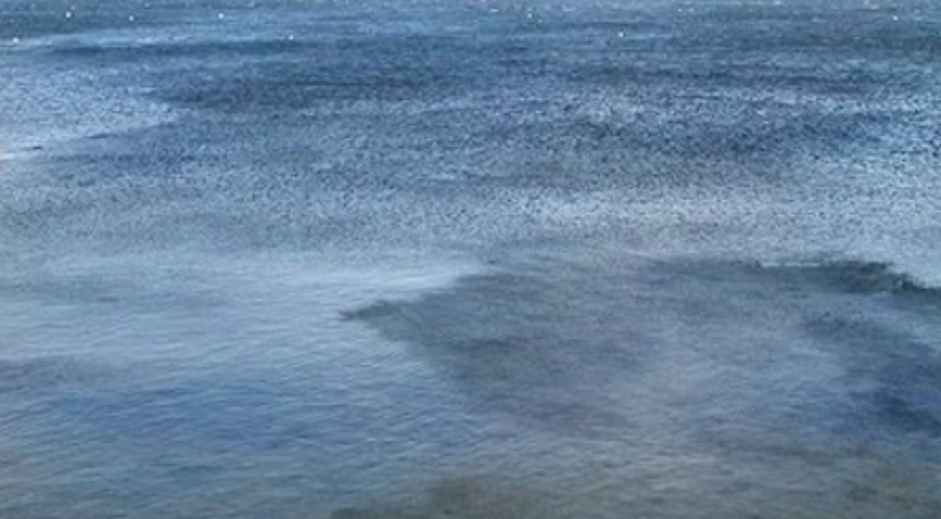 Puffs - Reading the water - Mandurah Yacht Academy